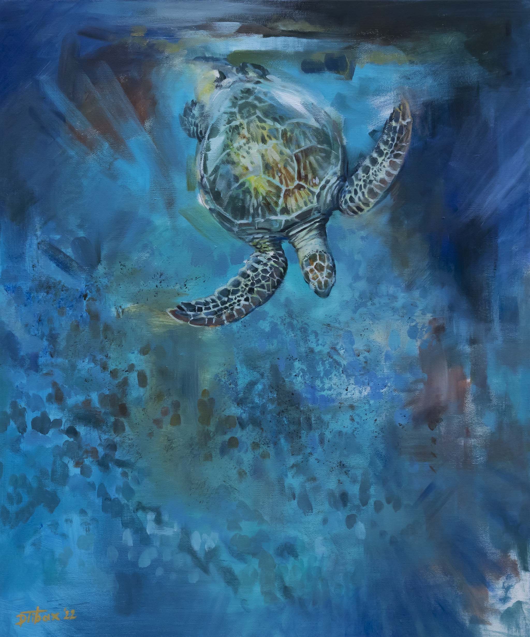Oceans – Art 4 Conservation